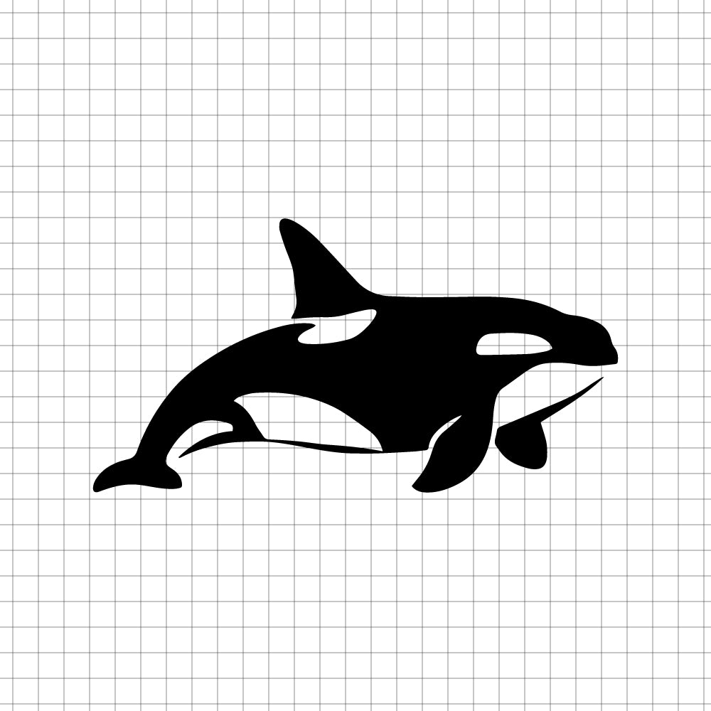 Killer Whale Clipart Black And White